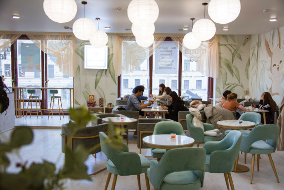Mona Tea, Кафе, Невский проспект - Санкт-Петербург - Tabler